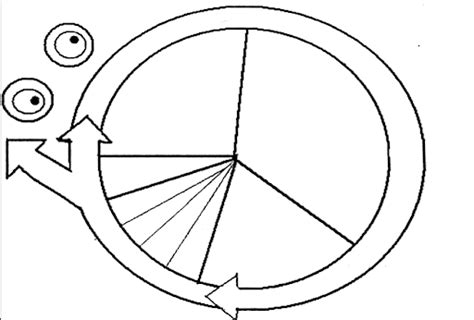 Cell Division Diagram Quizlet