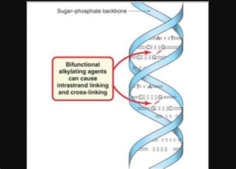 Chemo Cancer Drugs Classification Flashcards Quizlet