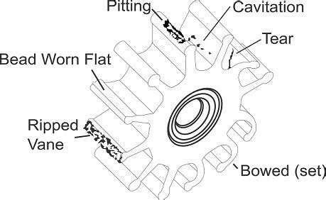 Flexible Impeller Pump Guide