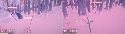 Steam Community Guide The Long Dark Mystery Lake Sapling