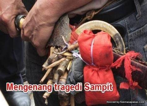 Sejarah Perang Dan Konflik Sampit Antara Dayak Dan Madura Kisah Betul