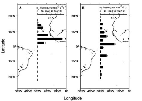 Latitudinal Distribution Of Euphotic Layer Integrated N 2 Fixation