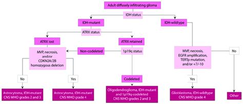 Diagnostic Algorithm Of Adult Diffusely Infiltrating Gliomas With Download Scientific Diagram