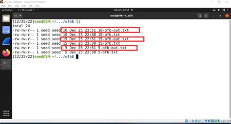 【信息安全】seed Labs实验 Secret Key Encryption Lab Csdn博客