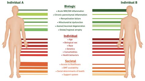 Progressive Multiple Sclerosis Functional Anatomic And Bi