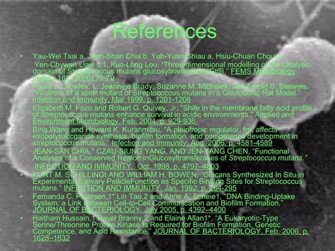 Streptococcus Mutans Cell Ppt