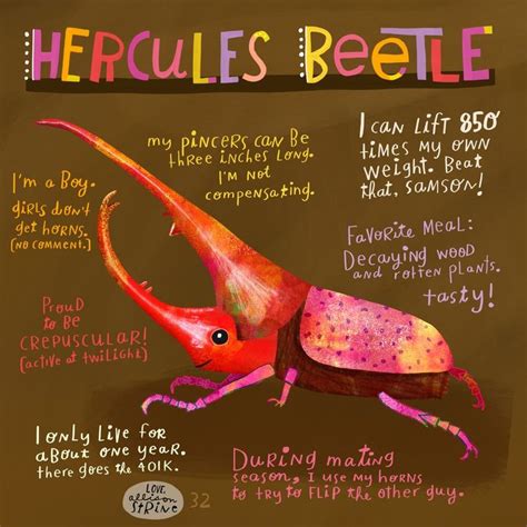 Illustration Of Hercules Beetle Hercules Beetle Beetle Beetle