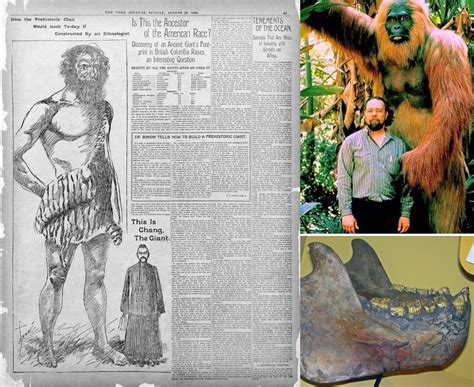 Meet Your Cousin Gigantopithecus Rconspiracy
