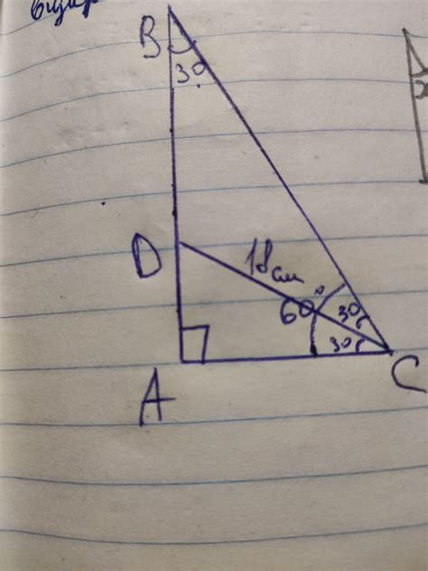 У прямокутному трикутнику бісектриса гострого кута в 60 градусів дорівнює 18см Знайти більший