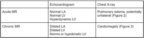 Approach To Acute Mitral Regurgitation In The Ed — Nyp Emergency