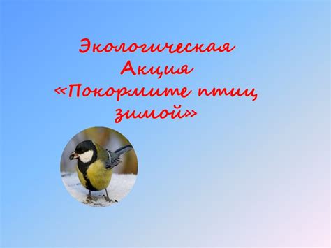 Покормите птиц зимой Экологическая акция Online Presentation
