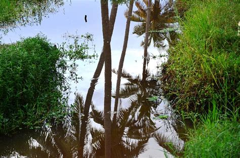 water mirror photograph by bibin sebastian fine art america
