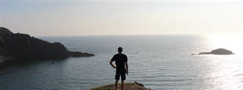 Seedless Nonvascular Plants Bryophytes Quiz