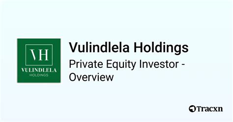 Vulindlela Holdings 2025 Investor Profile Portfolio Team And Exits