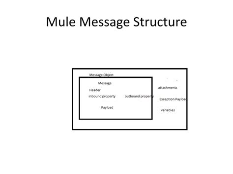 Mule Message Structure And Varibles Scopes Ppt Mule Message Structure And Varibles Scopes Ppt