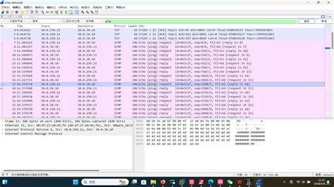 流量分析（一ctfhub Icmp Csdn博客