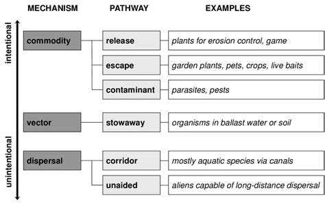 2 The Six Main Pathways Of Species Introduction Arranged Along The