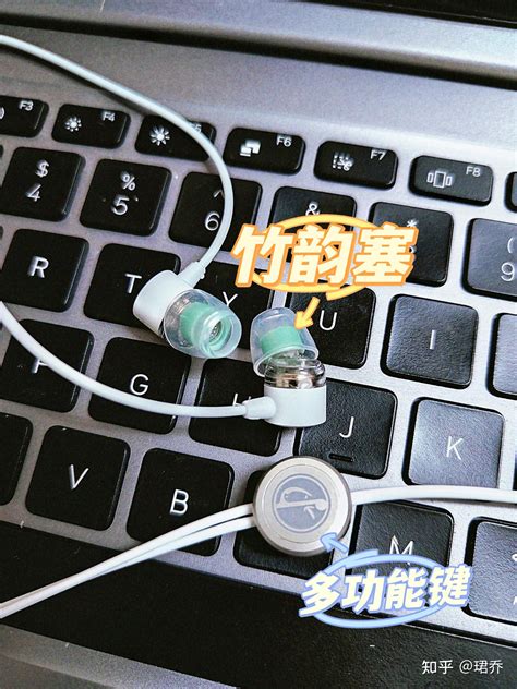 拯救午休的神器，竹林鸟夜莺真实测评 知乎