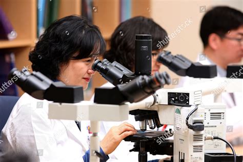 Microbiologist Using Microscope Analyse Slide Sample Editorial Stock