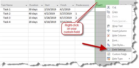 Custom Text Fields In Microsoft Project Onepager
