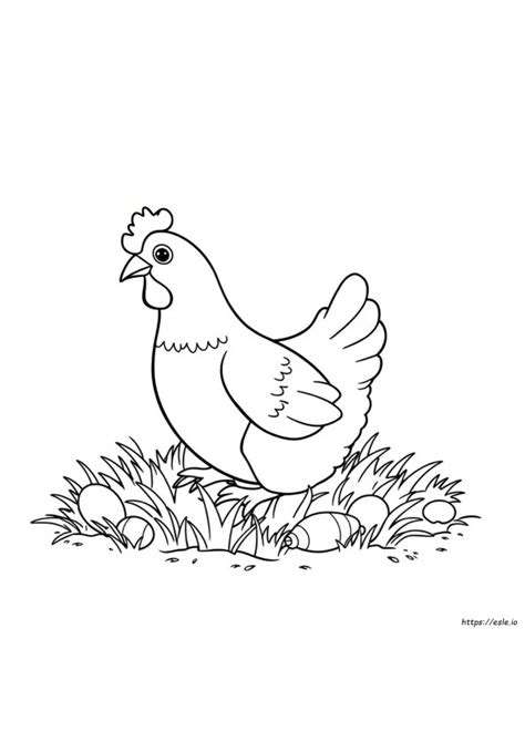 Gambar Mewarnai Ayam Betina