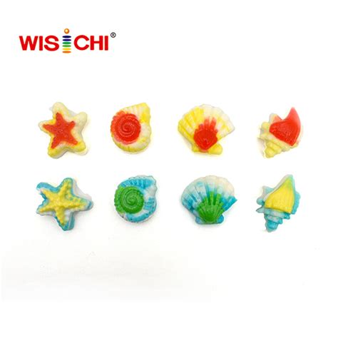 Shell Shape Gummy Candy Gelatinzed Fruity Sweet Wisky