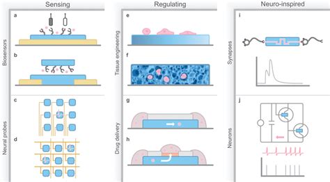 Overview Of The Different Aspects Of Bioelectronics Using Organic