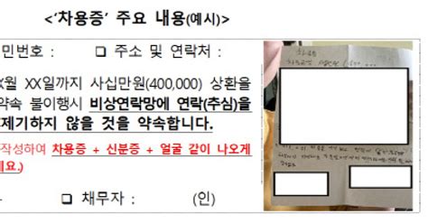 금감원 `성착취 불법 추심` 특별단속