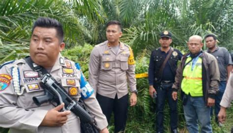 Dua Pelaku Pembunuhan Calon Pendeta Wanita Di Sumsel Tertangkap