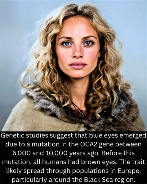 Blue Eyes Are The Result Of A Genetic Mutation That Occurred Between