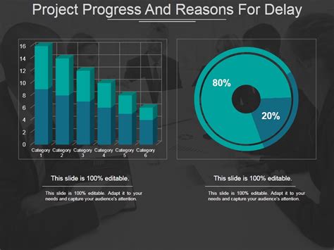 Project Progress And Reasons For Delay Ppt Powerpoint Presentation Pictures Influencers
