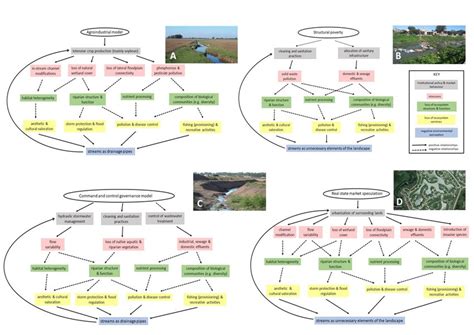 Regional Reinforcing Feedbacks At Pampean Streams And The Dynamics Download Scientific Diagram
