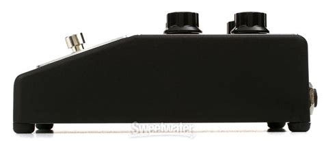 Moog MF Delay Minifooger Analog Delay Pedal Review InSync