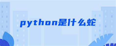 Python是什么蛇 Python基础教程