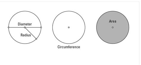 The Difference Between A Radius Diameter And Circumference Of A Circle
