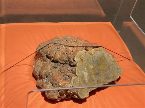 中2理科の公開講座【高槻本校】 Kec近畿予備校 Kec近畿教育学院 公式ブログ