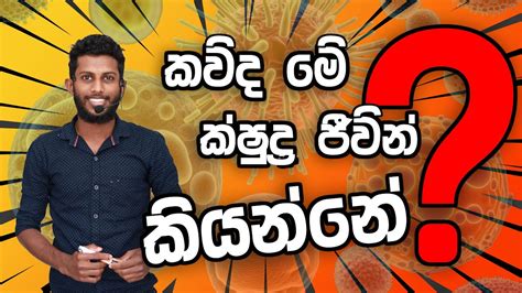 ඇත්තටම කව්ද මේ ක්ෂුද්‍ර ජීවීන් කියන්නේ Mr Science Prashan Nirmitha Youtube