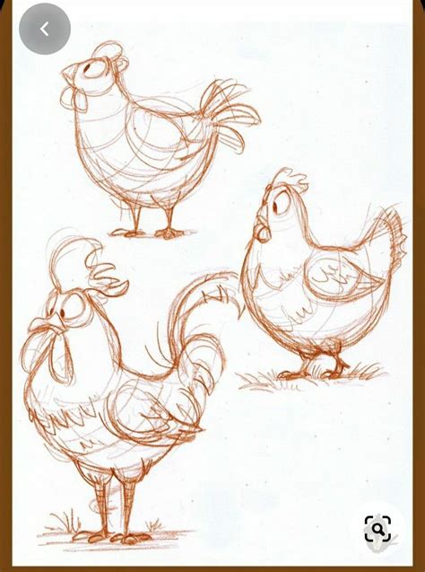 Chicken Drawing