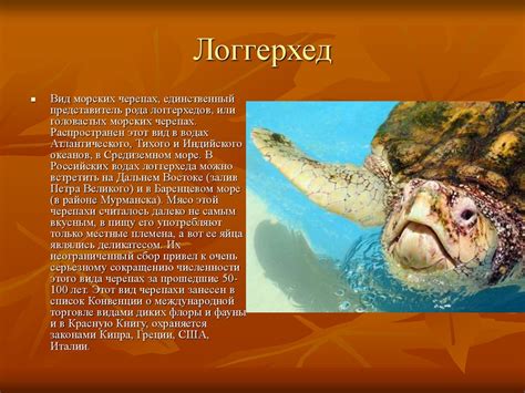 Животные занесенные в красную книгу презентация онлайн