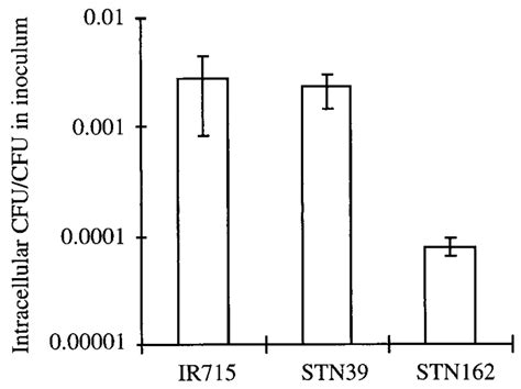 Invasiveness Of Different S Typhimurium Strains For Hep 2 Cells The Download Scientific