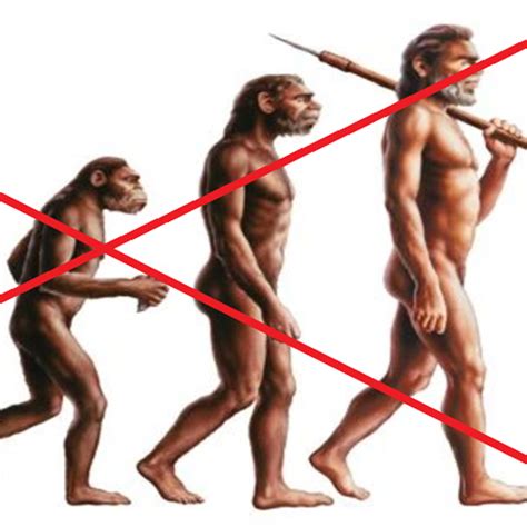 The History Of The Theory Of Evolution Do We Come From The Monkey Unla
