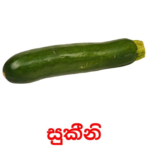 30 Printable Vegetables Flashcards In Sinhala Free Pdf