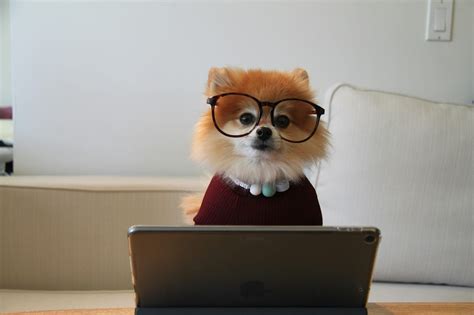 Gemini Cli Tutorial Series — Part 5 Github Mcp Server By Romin