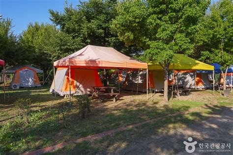 인천대공원 범시민 벚꽃축제 최신 축제 공연 행사 정보와 주변 관광 명소 및 근처 맛집 여행 정보