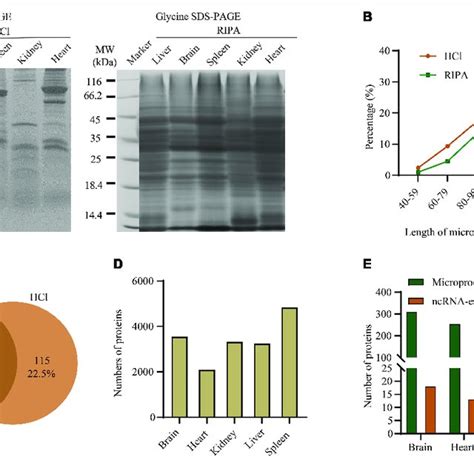 Summary Of De Novo Sequencing Results A Comparison Of Spectrum Download Scientific Diagram