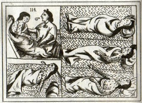 Colonial Contagion How Disease Devastated Indigenous America