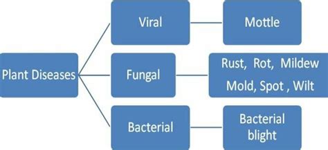 Classification Of Leaf Diseases Download Scientific Diagram