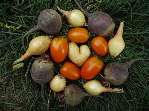 Andreas Jopp Heimische Landwirtschaft