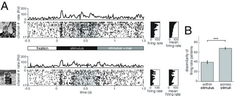 Structure Of The Experiment And Mean Neural Responses A Time Course