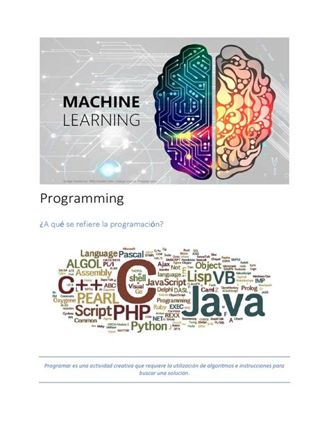 Programming: ¿A Qué Se Refiere La Programación? | Download Free PDF ...